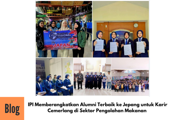 International Professional Institute – Program Magang dan Kerja Luar Negeri